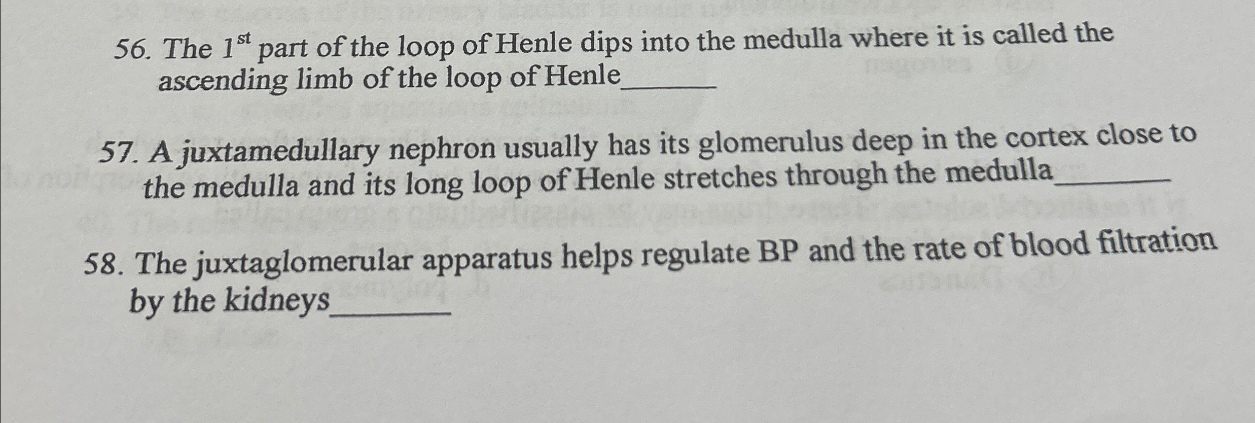 Solved The 1st ﻿part of the loop of Henle dips into the | Chegg.com