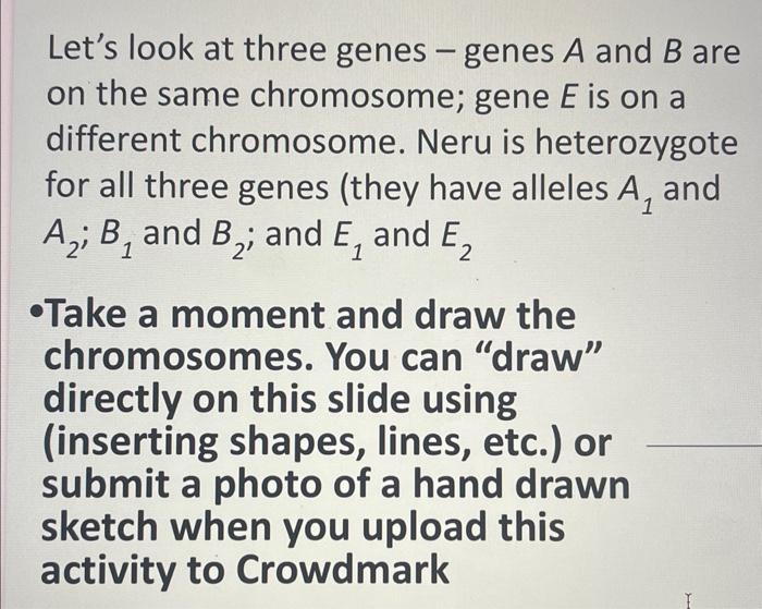 Solved Let's look at three genes - genes A and B are on the | Chegg.com