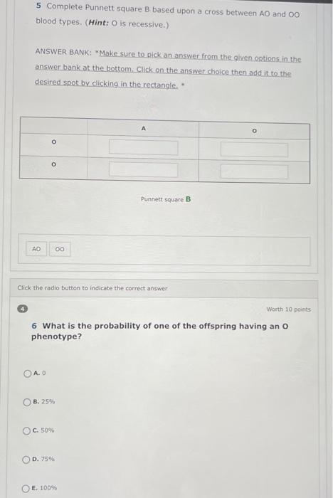 Solved 5 Complete Punnett 5 quare B based upon a cross | Chegg.com