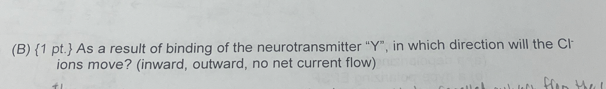 Solved As a result of binding of the neurotransmitter " Y ", | Chegg.com