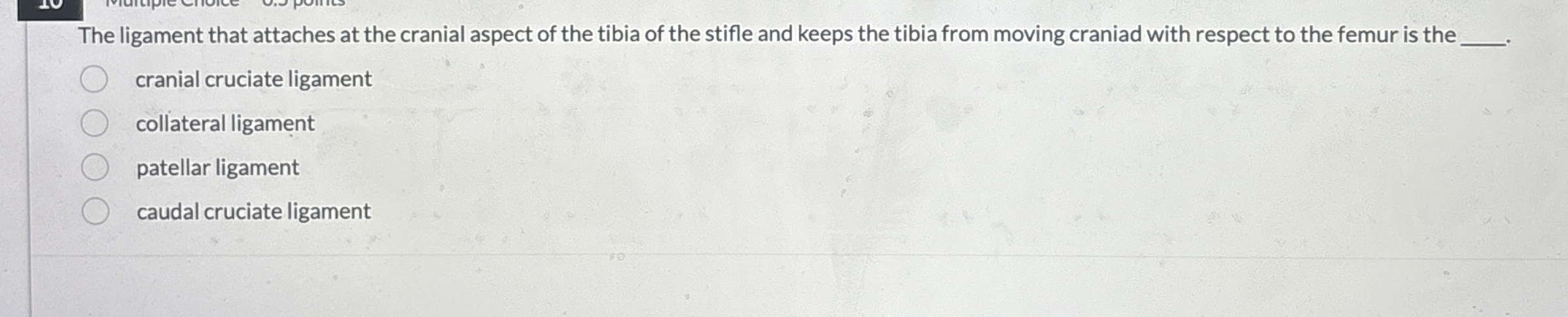 The ligament that attaches at the cranial aspect of | Chegg.com
