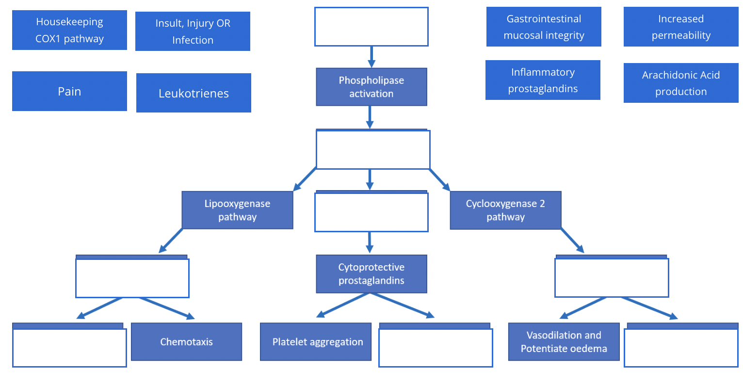 Solved Drag and drop each one onto the map to show the | Chegg.com
