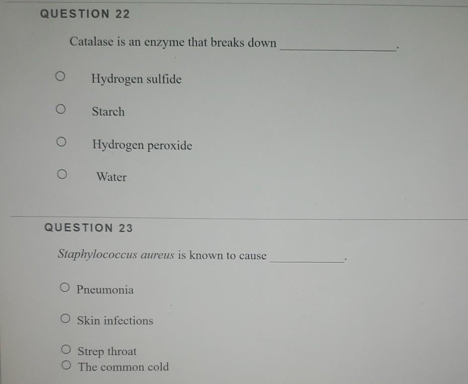 Solved QUESTION 22 Catalase is an enzyme that breaks down | Chegg.com
