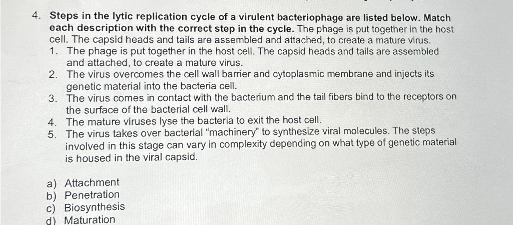 Solved Steps in the lytic replication cycle of a virulent | Chegg.com