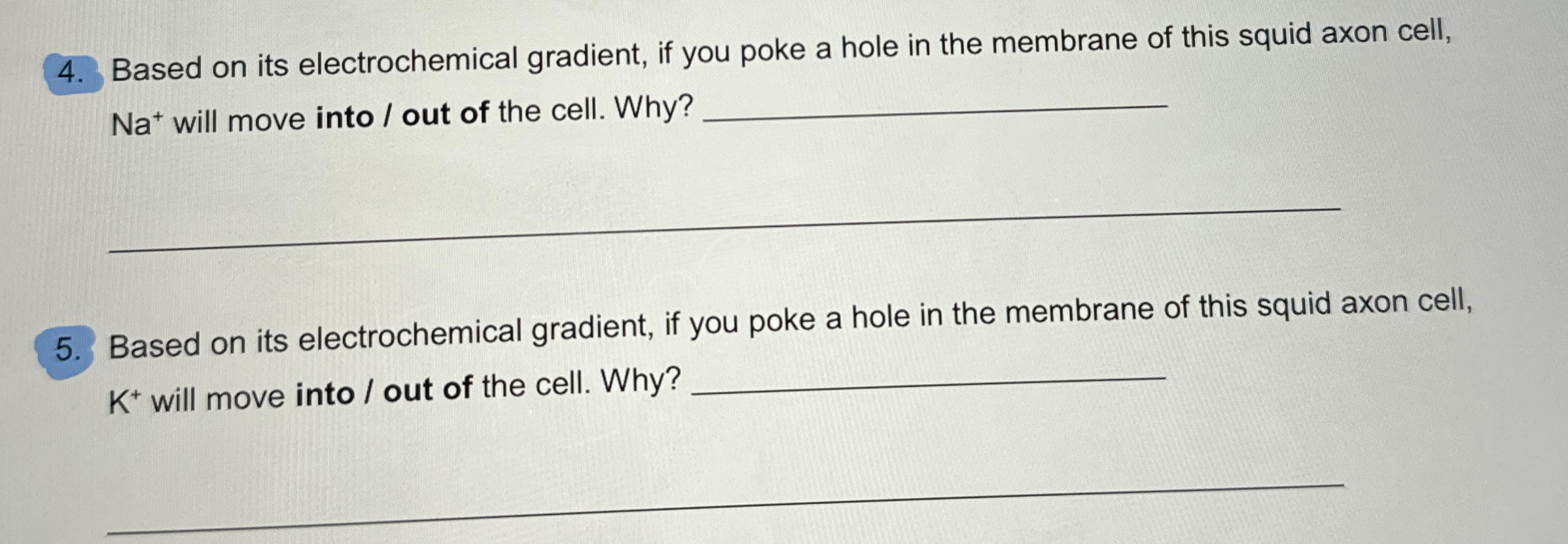 Solved Based on its electrochemical gradient, if you poke a | Chegg.com