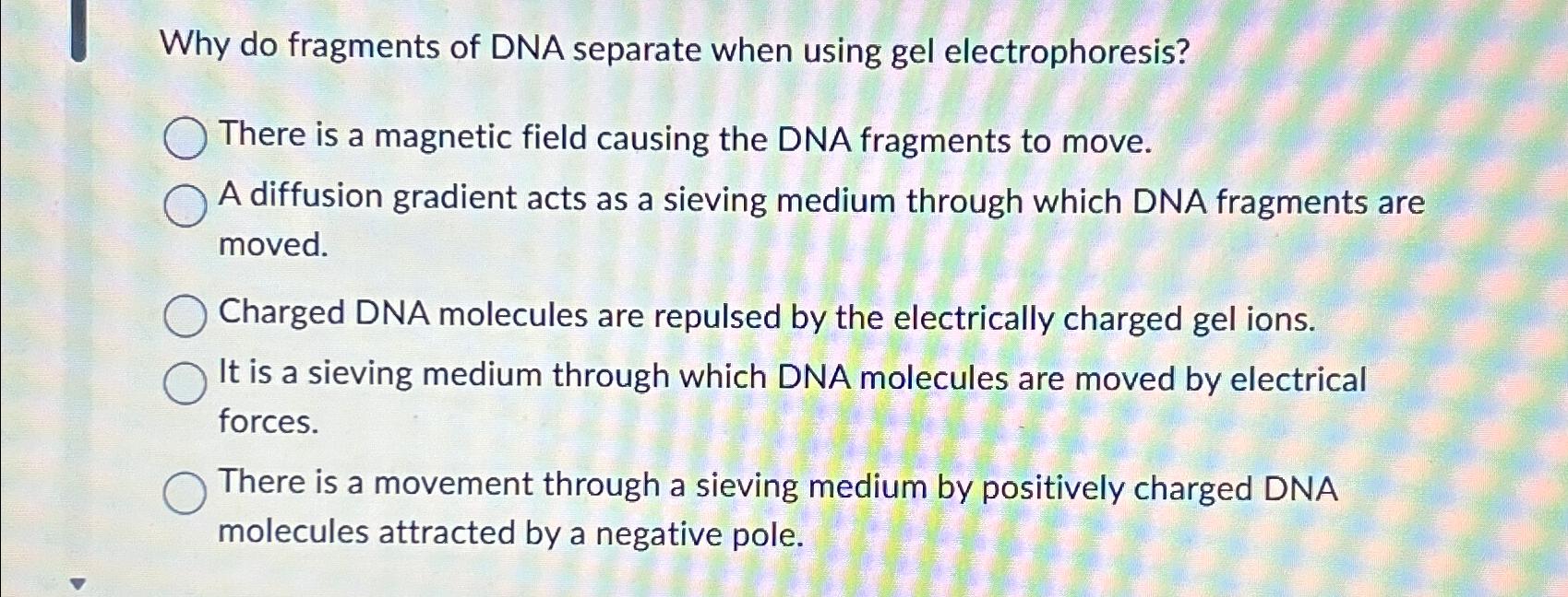 Solved Why do fragments of DNA separate when using gel | Chegg.com