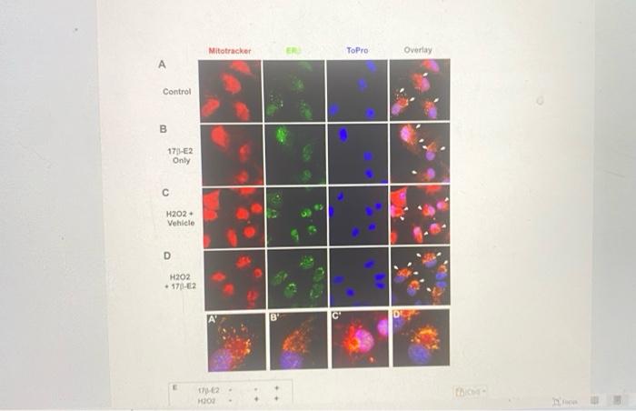 course: cell biology we have 8 figures here, can | Chegg.com