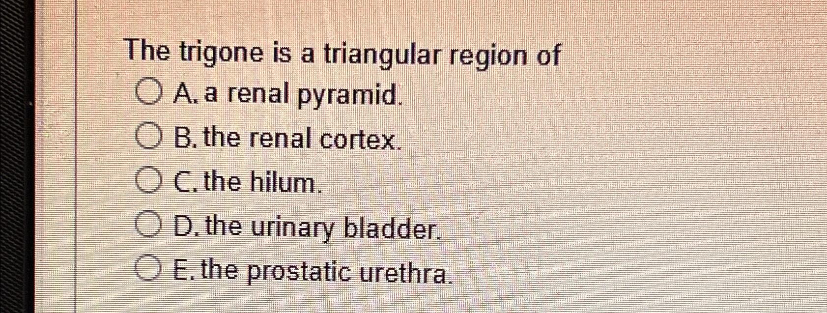 Solved The trigone is a triangular region ofA. ﻿a renal | Chegg.com