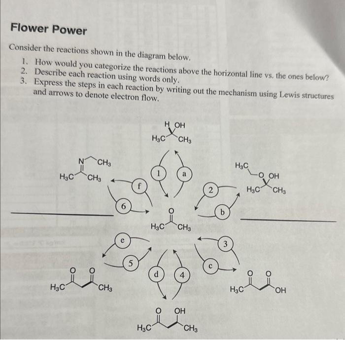 Solved Flower Power Consider the reactions shown in the | Chegg.com
