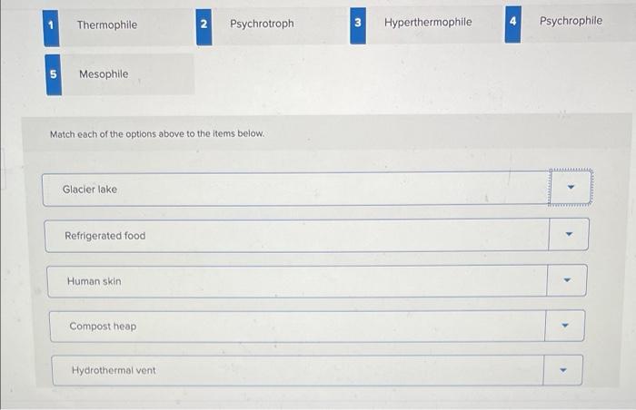 Solved Thermophile 2 Psychrotroph 3 Hyperthermophile | Chegg.com