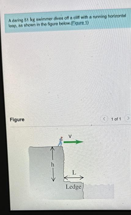Solved A daring 51 kg swimmer dives off a cliff with a | Chegg.com