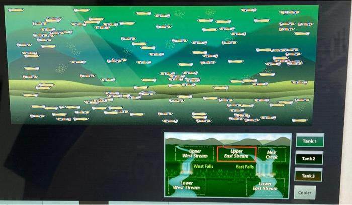 Solved the male guppies are the ones with colorful spots . | Chegg.com