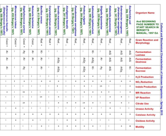 Solved create a dichotomous key for these 15 unknown | Chegg.com