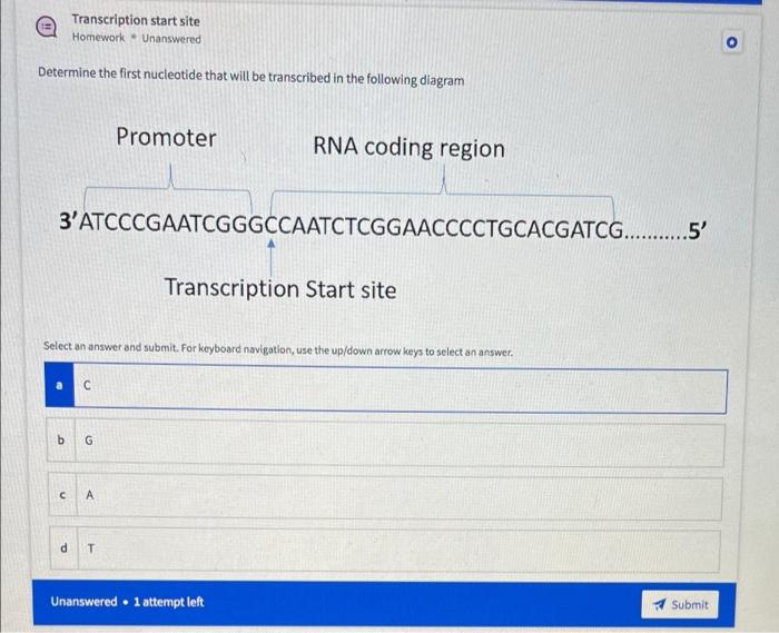 Solved Transcription start site Homework. Unanswered | Chegg.com