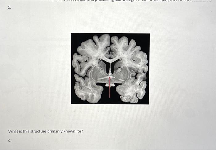 Solved What is this structure primarily known for? | Chegg.com