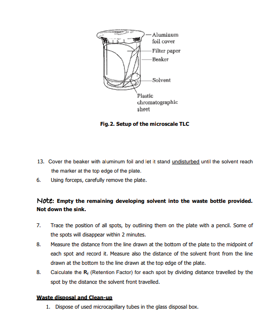 Solved THIN-LAYER CHROMATOGRAPHY (TLC) OF PLANT PIGMENTS | Chegg.com