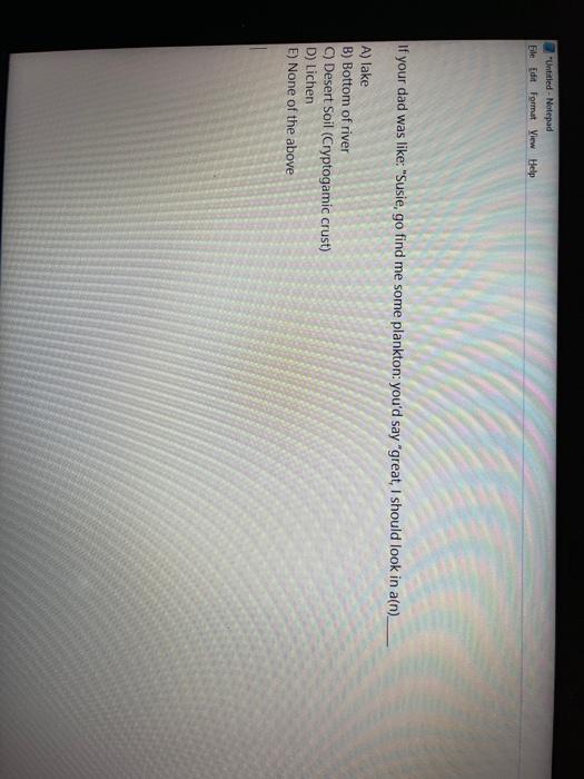 Solved "Untitled - Notepad File Edit Format View Help if | Chegg.com