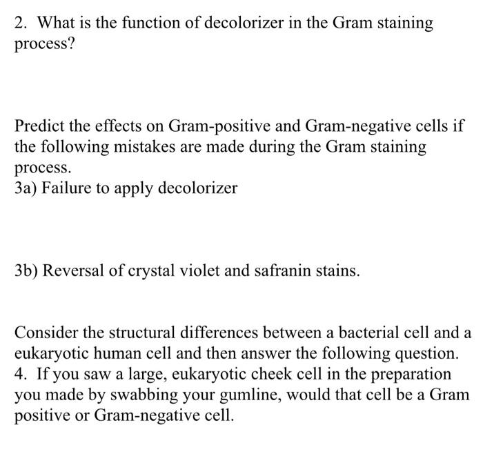 Solved 2. What is the function of decolorizer in the Gram | Chegg.com