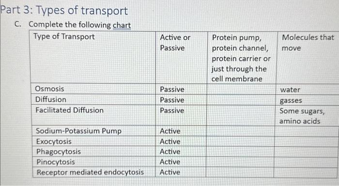 Solved Part 3: Types of transport C. Complete the following | Chegg.com