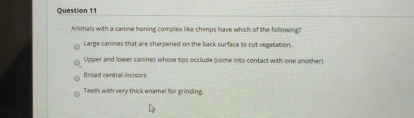 Solved Question 11 Animals with a canine honing complex like | Chegg.com