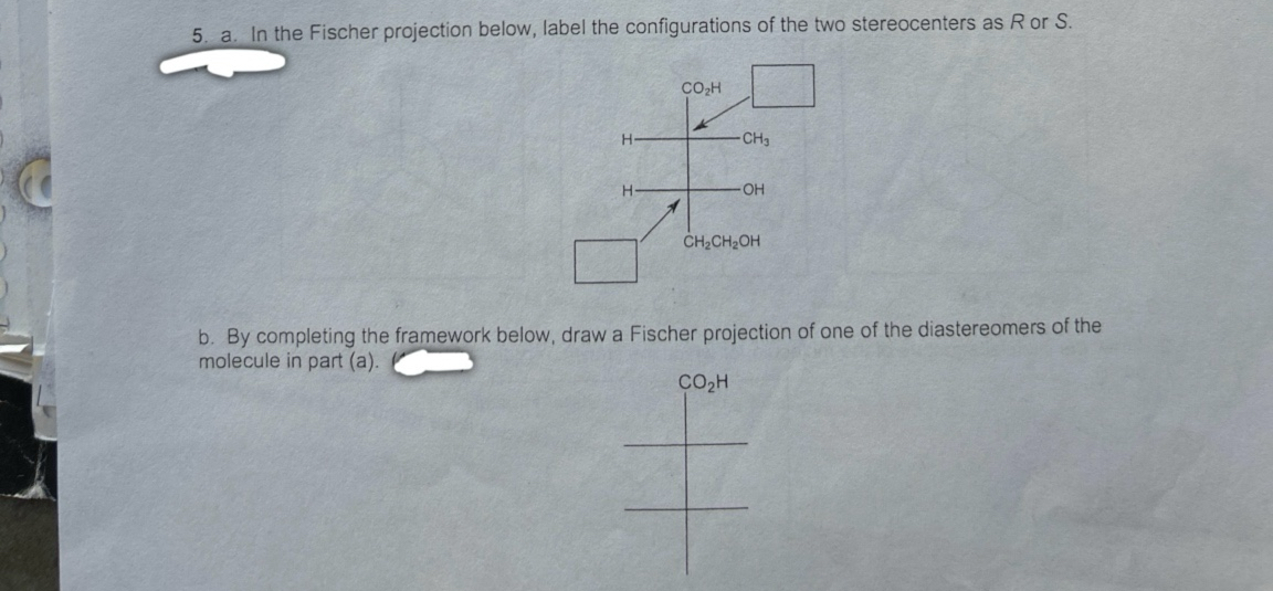 Solved a. ﻿In the Fischer projection below, label the | Chegg.com