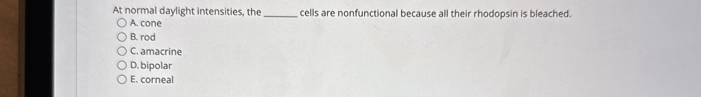 Solved At normal daylight intensities, theA. ﻿coneq,cells | Chegg.com