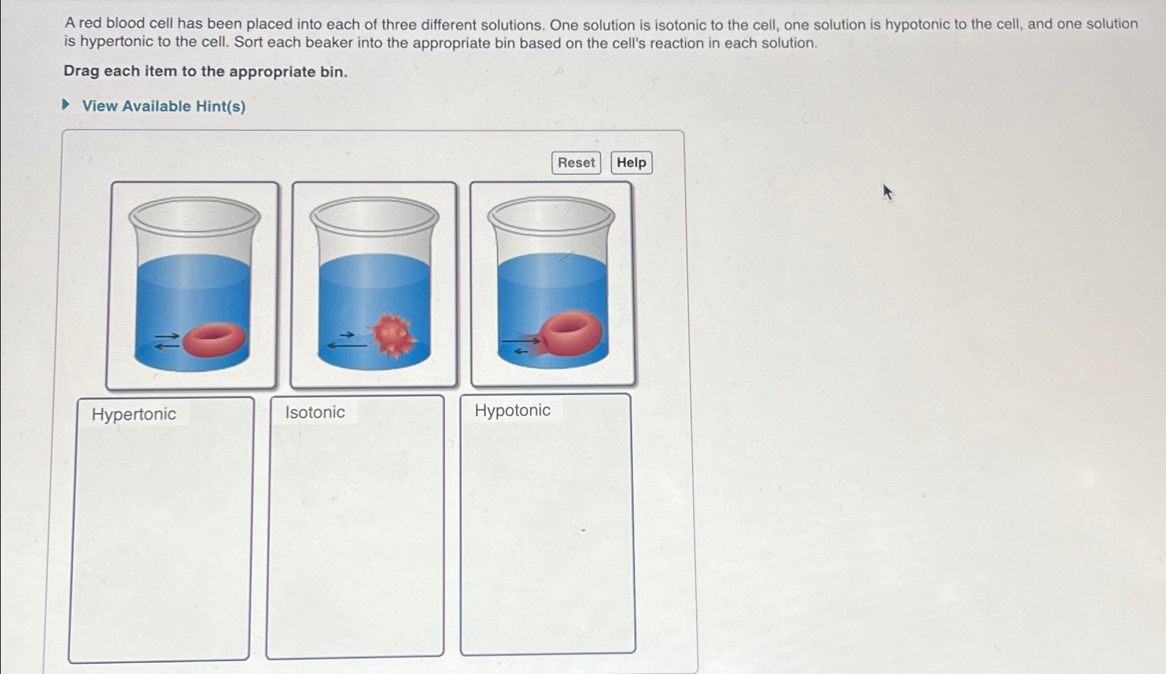 Solved A red blood cell has been placed into each of three | Chegg.com