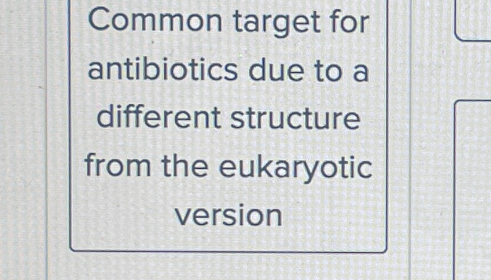 Solved Common target for antibiotics due to a different | Chegg.com