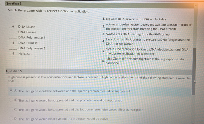 Solved Question 8 Match the enzyme with its correct function | Chegg.com
