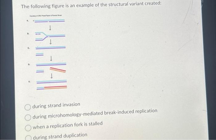 Solved The following figure is an example of the structural | Chegg.com