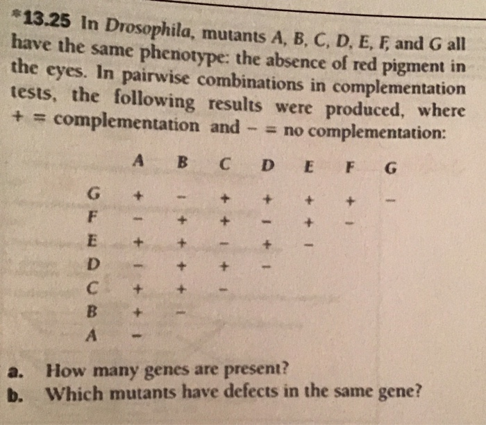 Solved *13.25 In Drosophila, mutants A, B, C, D, E, F, and G | Chegg.com