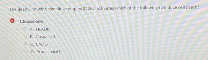 Solved The death-inducing signaling complex (DISC) activates | Chegg.com