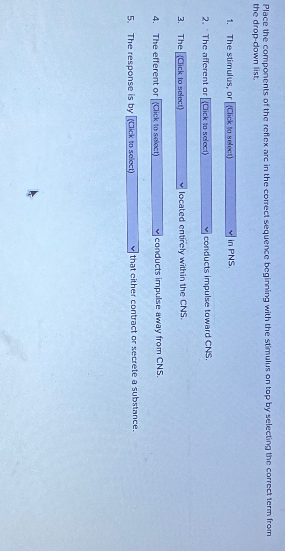 Solved Place the components of the reflex arc in the correct | Chegg.com