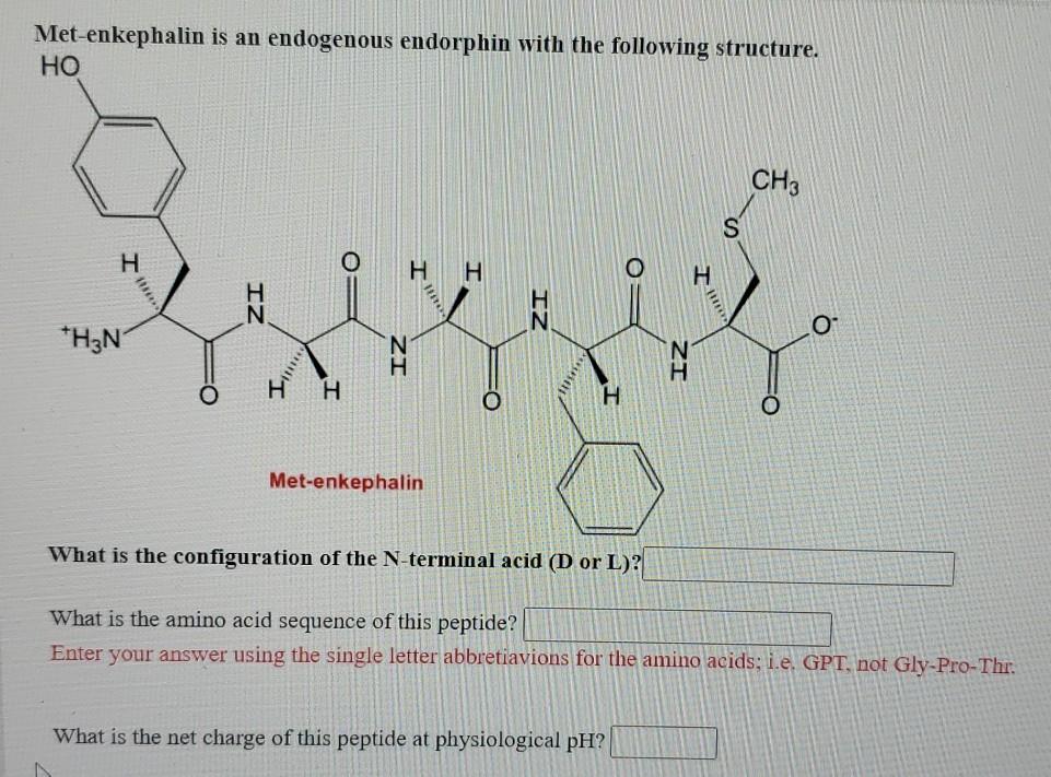 Solved Met-enkephalin is an endogenous endorphin with the | Chegg.com