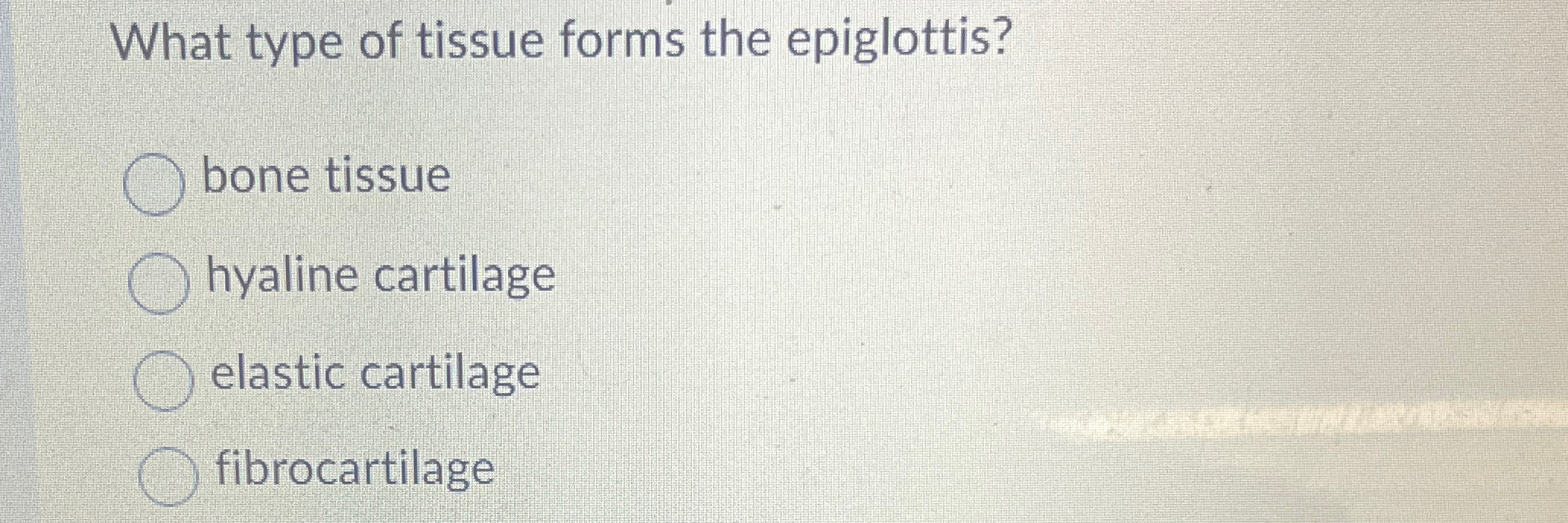 Solved What type of tissue forms the epiglottis?bone | Chegg.com
