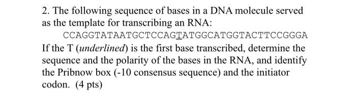 Solved 2. The following sequence of bases in a DNA molecule | Chegg.com