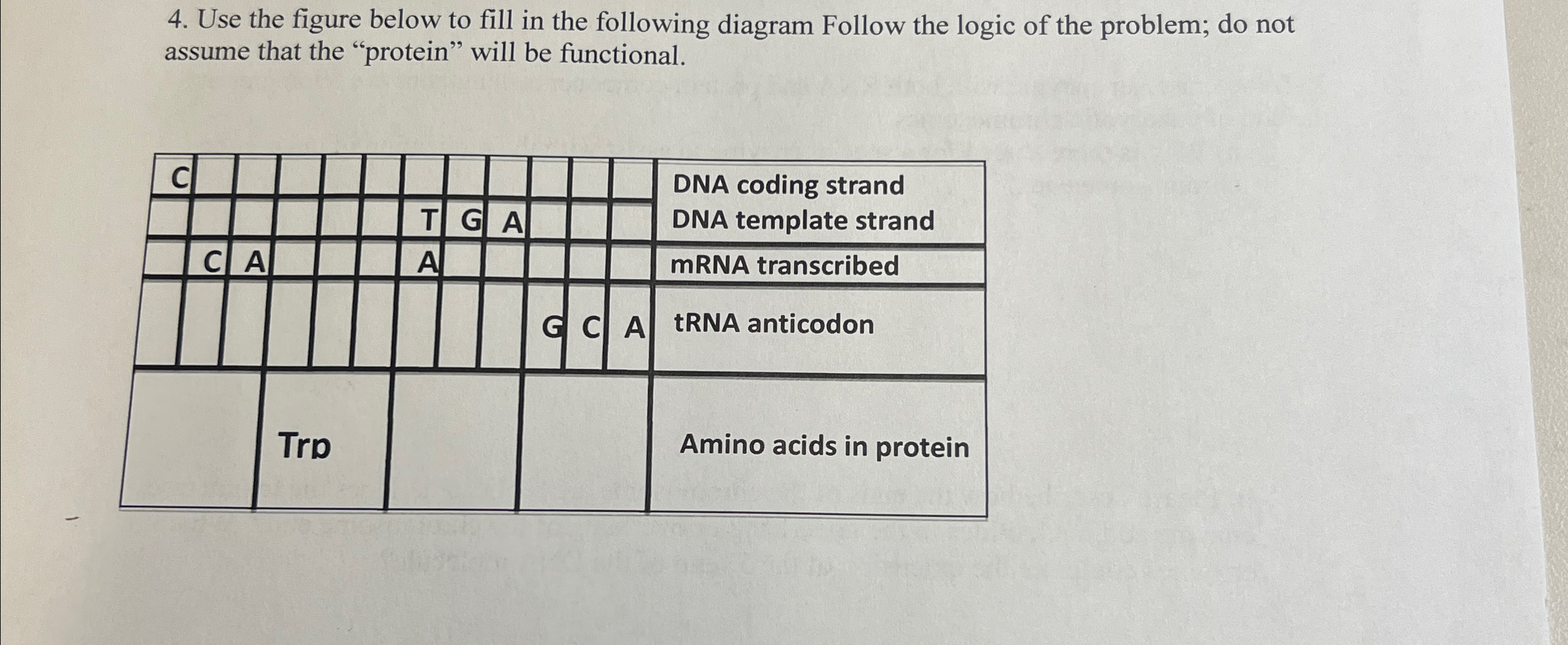 Solved Use the figure below to fill in the following diagram | Chegg.com