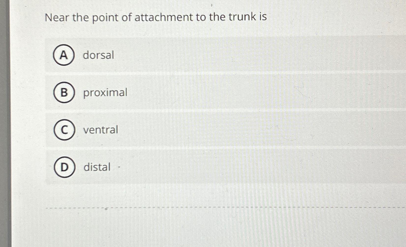 Solved Near the point of attachment to the trunk | Chegg.com