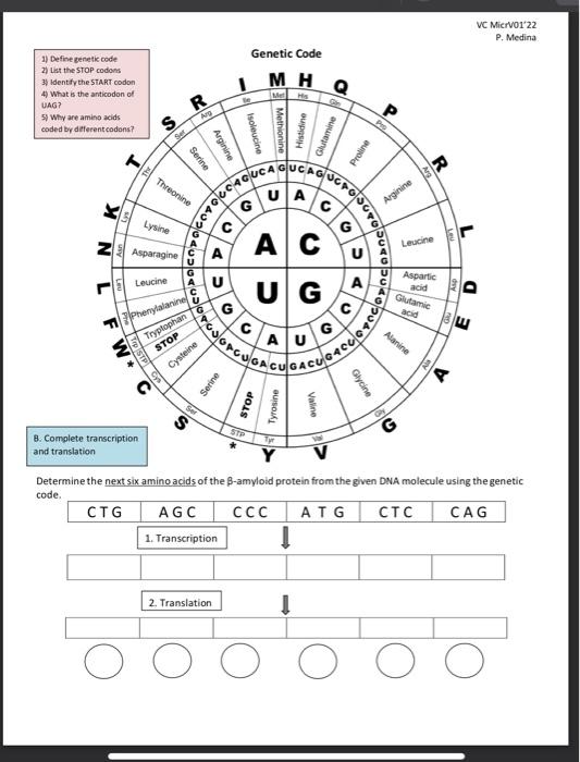 Solved Exercise 1: Protein Synthesis From DNA to RNA to | Chegg.com