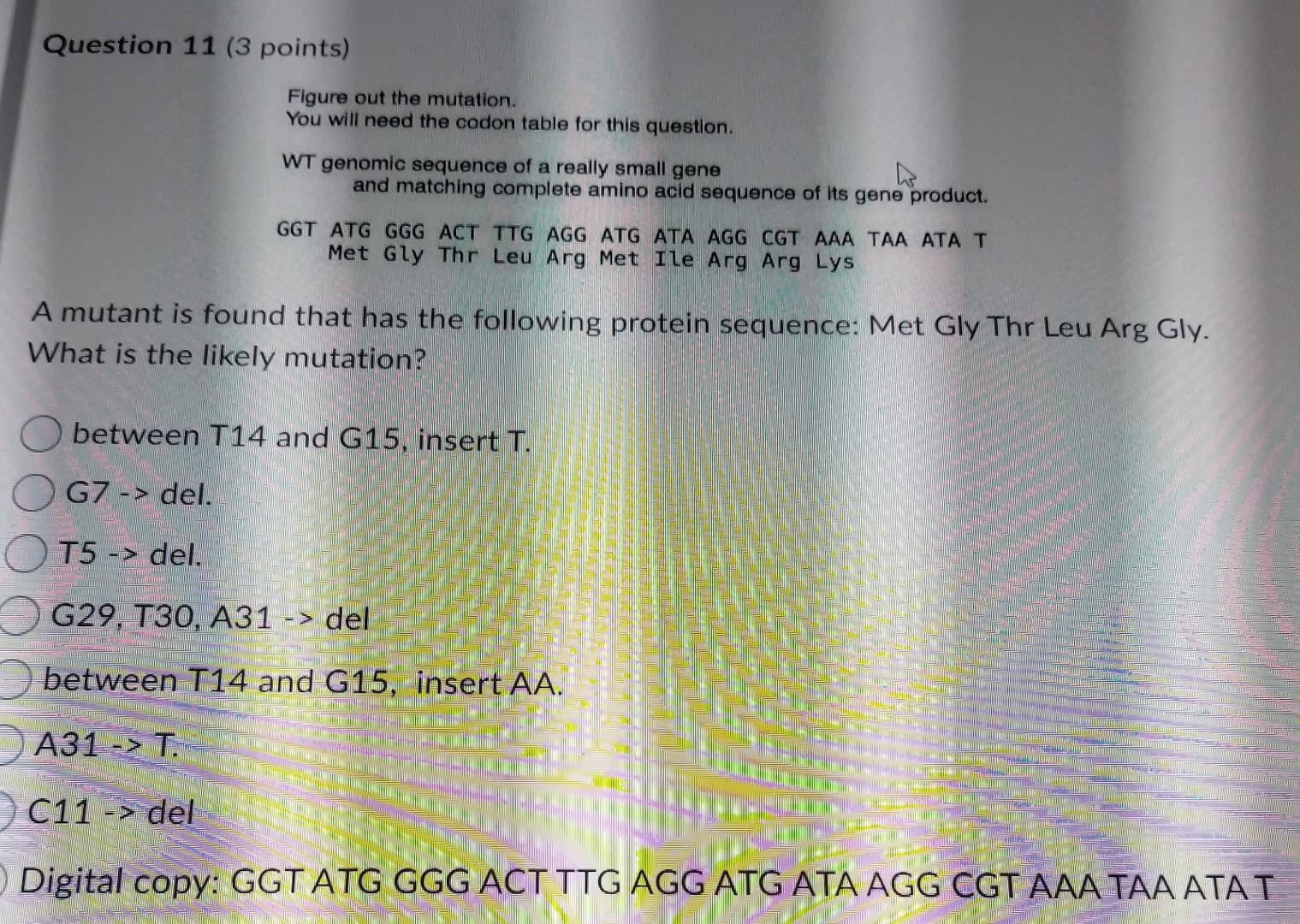 Solved Question 9 (2 points) Why do eukaryotes not have | Chegg.com