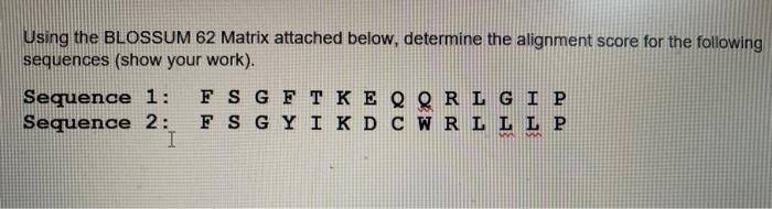 Solved Paragraph Styres Using the BLOSSUM 62 Matrix attached | Chegg.com