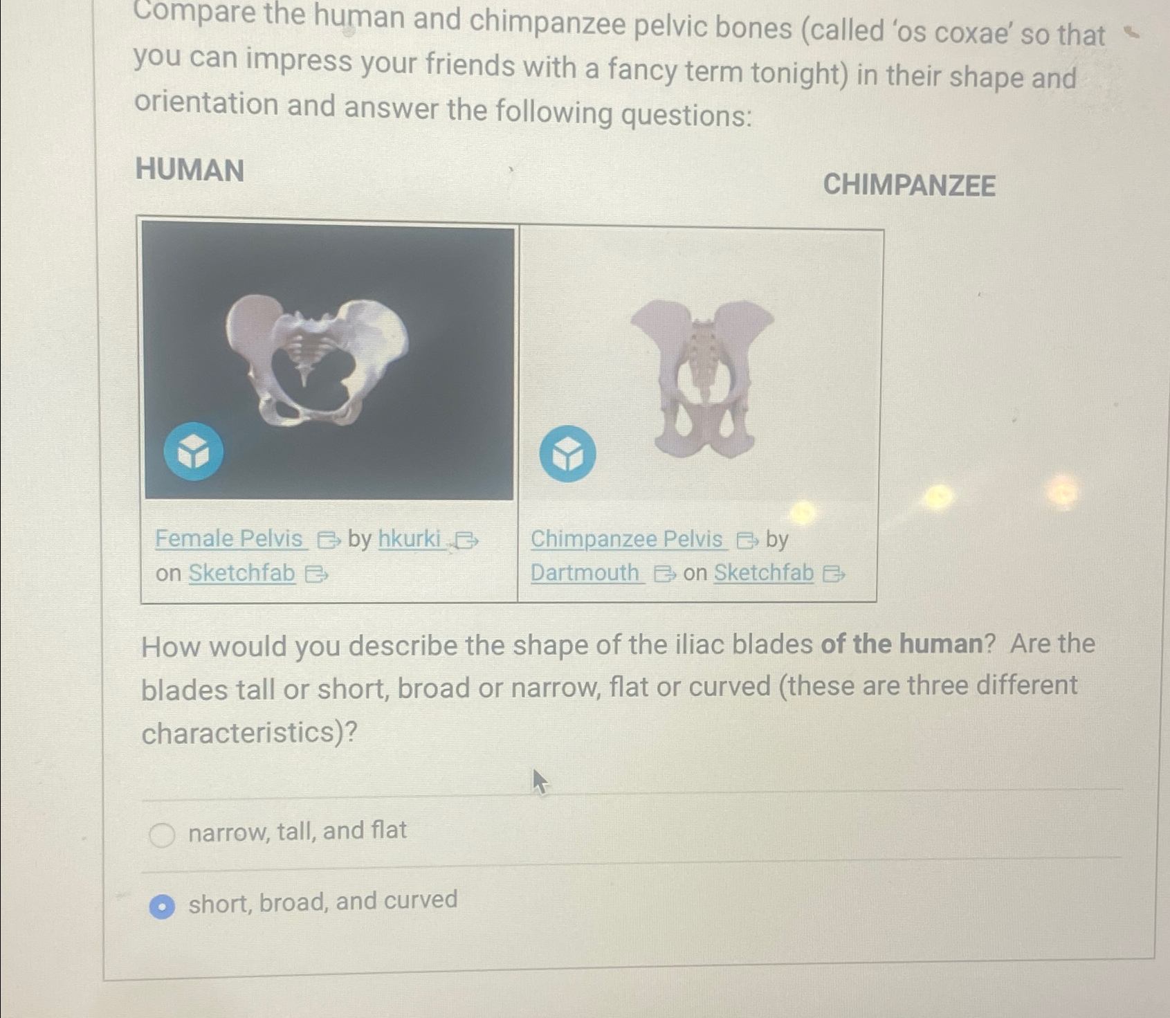 Solved Compare the human and chimpanzee pelvic bones (called | Chegg.com