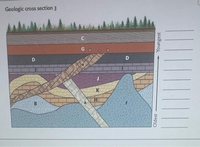 Solved Geologic cross section 3 с Youngest GO D D B Oldest | Chegg.com