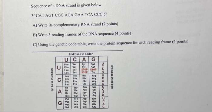 Solved Sequence of a DNA strand is given below 3' CAT AGT | Chegg.com