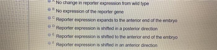 Solved eve stripe 2 reporter A B Hunchback C D Giant E F L | Chegg.com