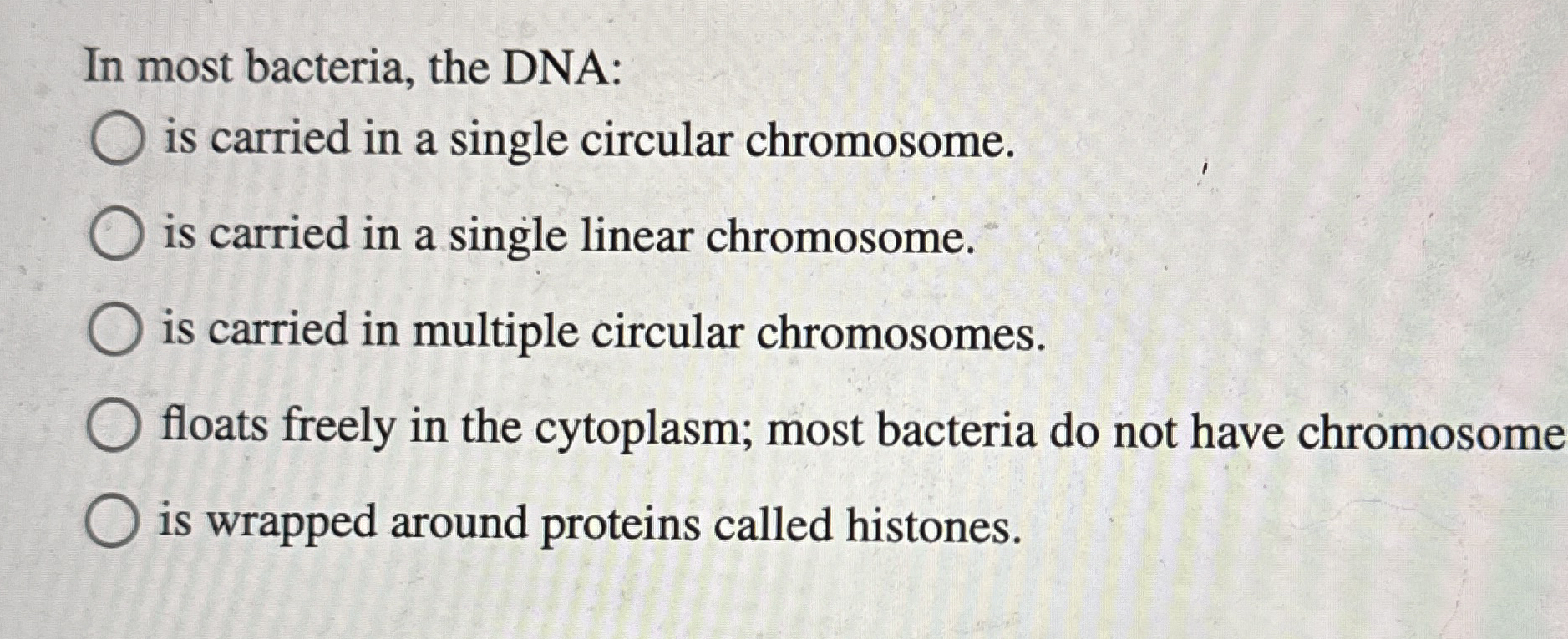 Solved In most bacteria, the DNA:is carried in a single | Chegg.com