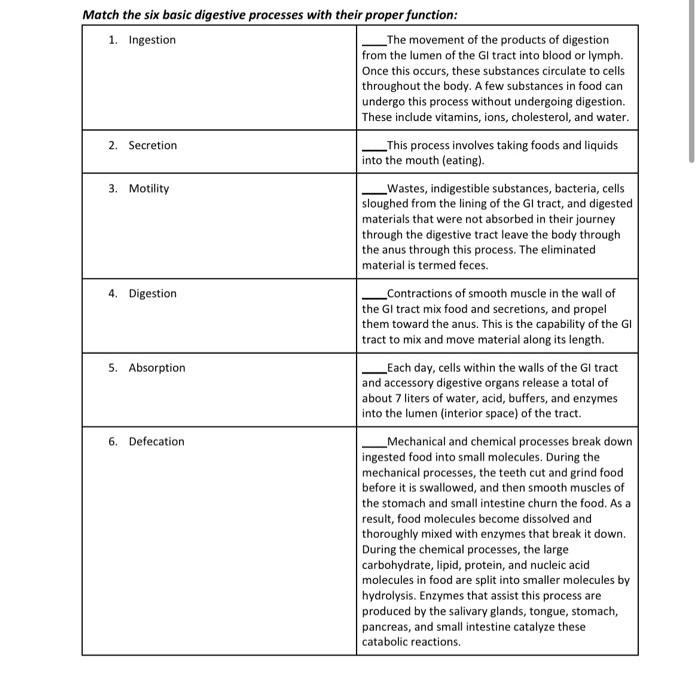 Solved Match the six basic digestive processes with their | Chegg.com