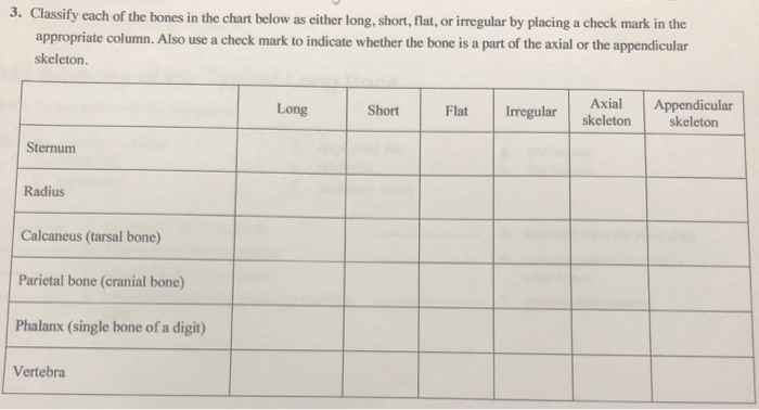 Solved 3. Classify each of the bones in the chart below as | Chegg.com