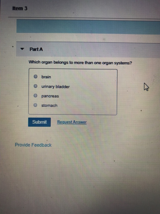Solved Item 3 Part A Which organ belongs to more than one | Chegg.com Solved Item 3 Part A Which organ belongs to more than one | Chegg.com