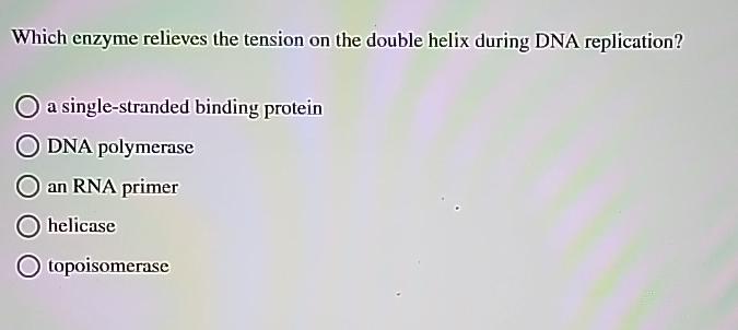 Solved Which enzyme relieves the tension on the double helix | Chegg.com